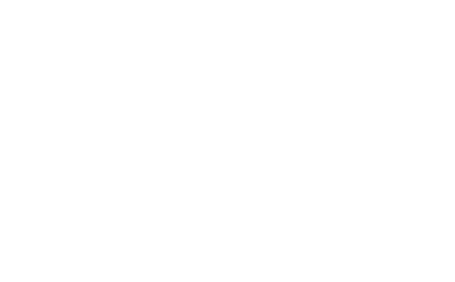 Backyard Discovery | Aterian Investment Partners